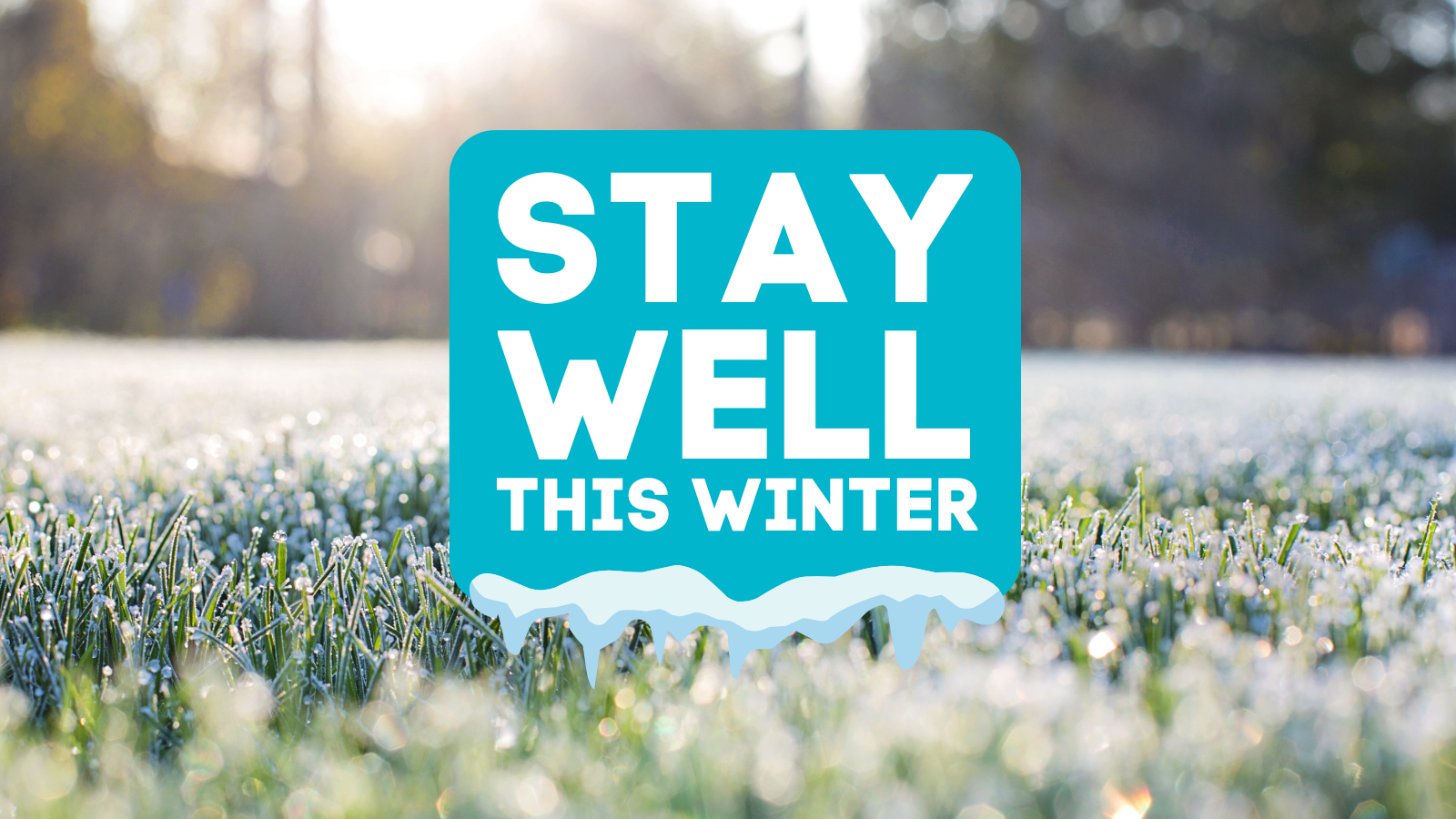 Winter Health Services | Belfast Health & Social Care Trust website